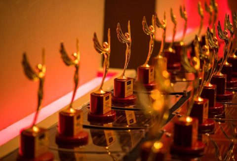 International Award | Official Prime Awards - Recognizing Global Excellence